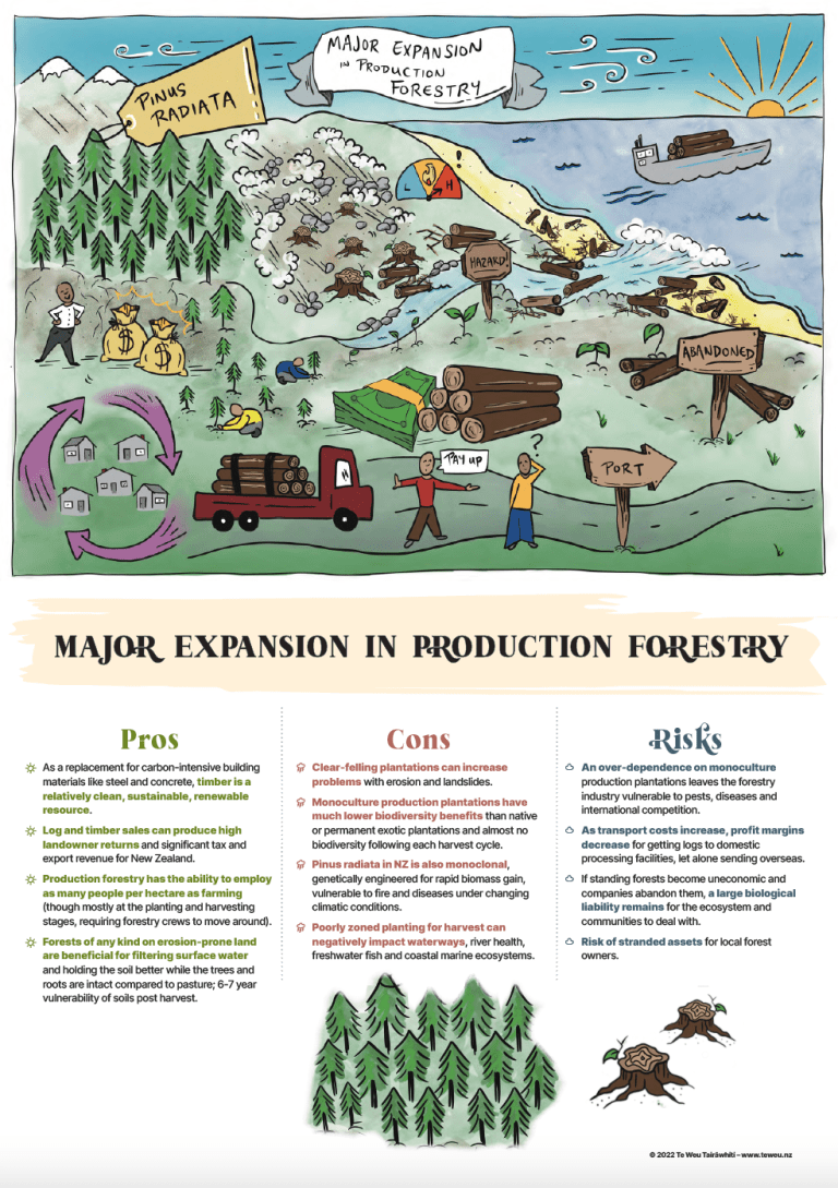 Six Scenarios Poster Set – Te Weu Tairāwhiti