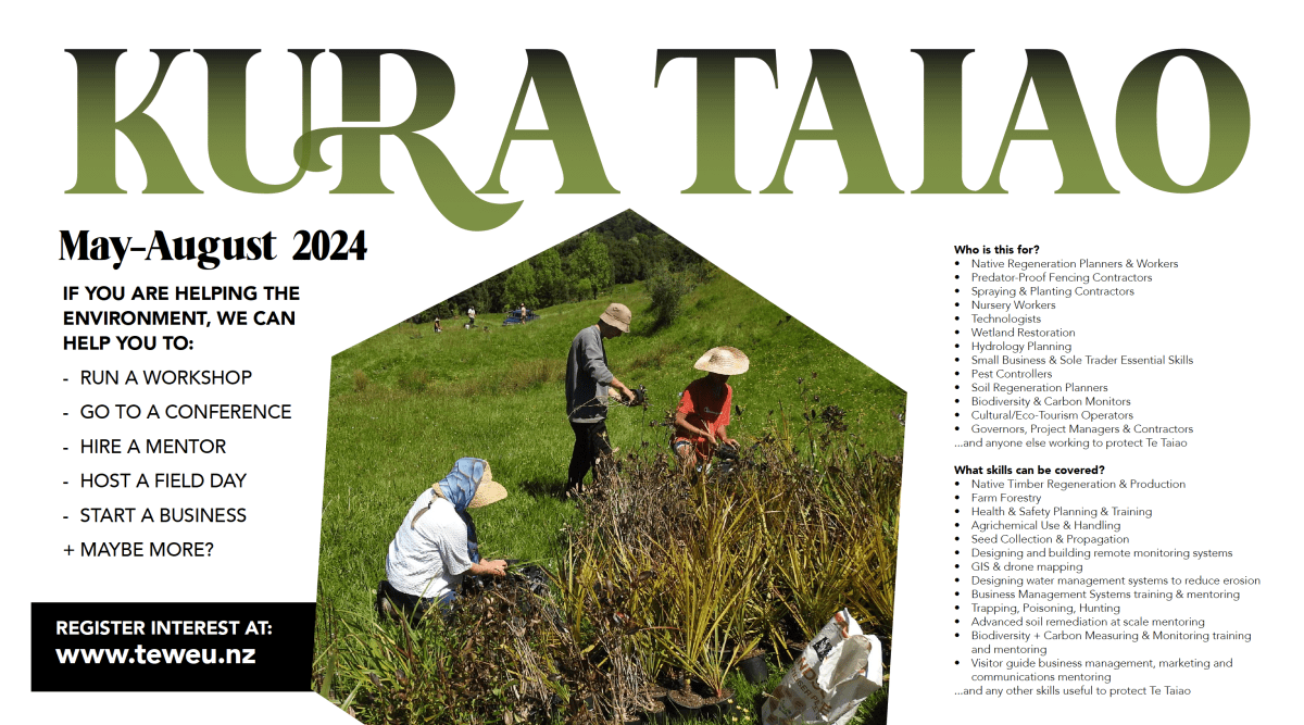 Kura Taiao – Ecological Restoration Workforce Development Funding ...